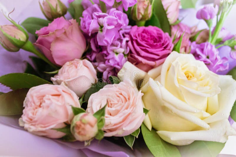 A Bouquet of Very Beautiful Different Colors Close Up. Stock Photo ...