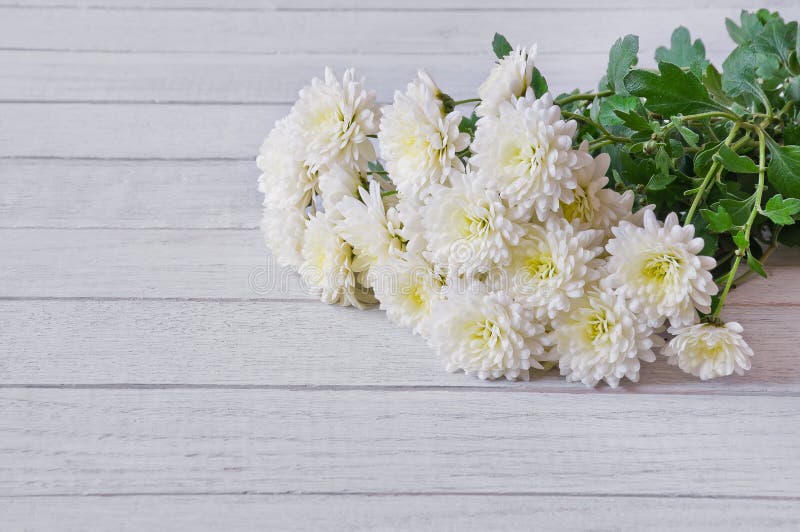 Bouquet of White Chrysanthemums on a White Wooden Table Stock Photo ...