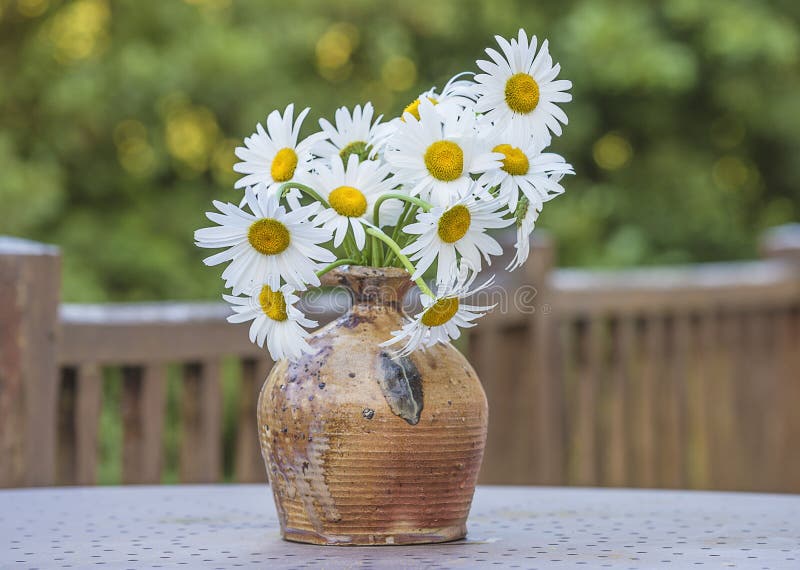 Daisies On Rustic Wooden Weatthered Vintage Background Stock Photo ...