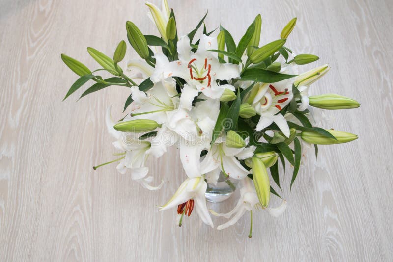 Bouquet of White Lilies in a Vase Top View Stock Photo - Image of ...