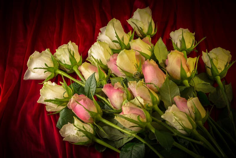 Big Bouquet of White and Pink Roses for Different Occasions, Wishes and ...