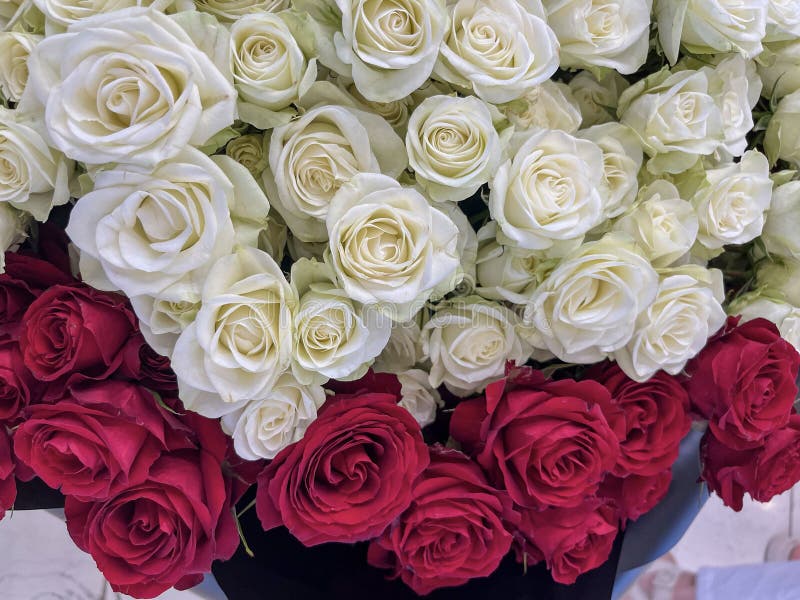 A Bouquet of White and Red Roses Stock Image - Image of shop, rose ...