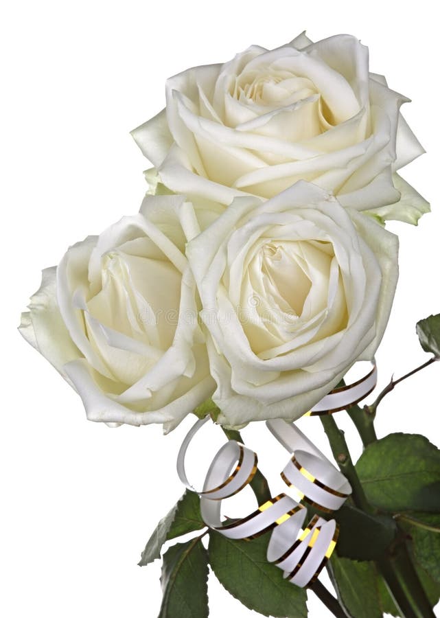 Bouquet of white roses stock image. Image of flower, three - 18005019