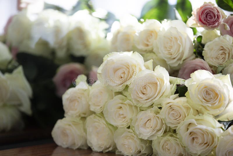 Bouquet of white roses stock photo. Image of dreamy - 259886918