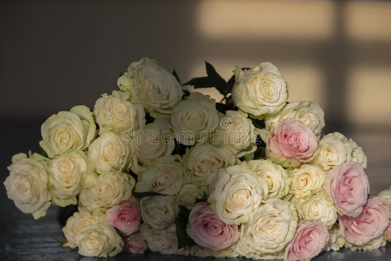 Bouquet of White Roses Close-up Stock Image - Image of closeup, macro ...