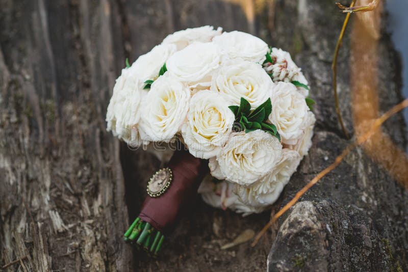 A Bouquet of White Roses on a Tree Stock Image - Image of roses, yellow ...