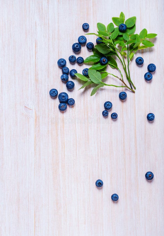 Bouquet of Wild Blueberry on the Table Stock Photo - Image of yummy ...