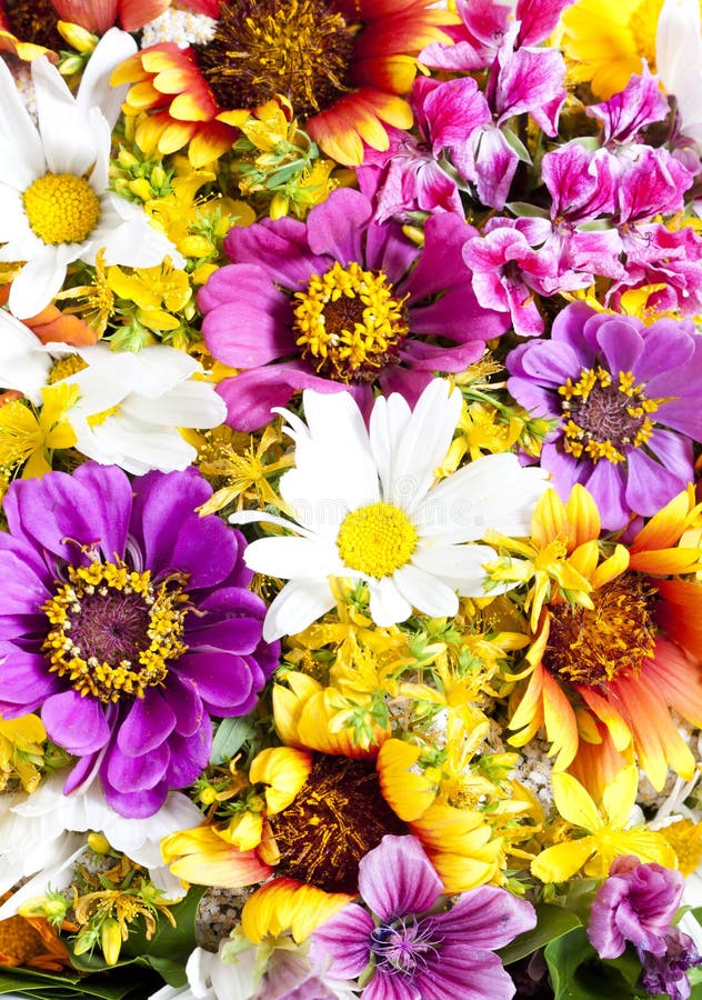 2,292 Mixed Wild Flower Bouquet Stock Photos - Free & Royalty-Free ...