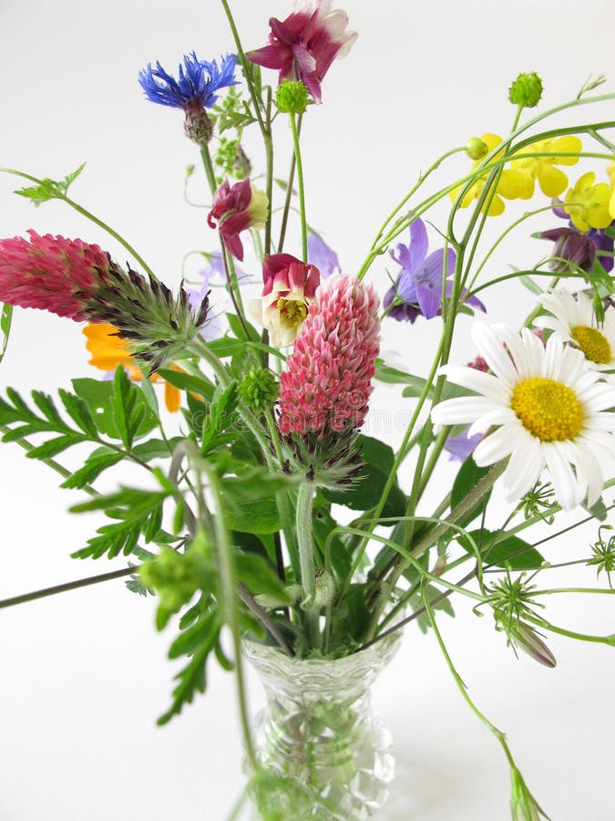 Bouquet of wild flowers stock photo. Image of crimson - 40962664