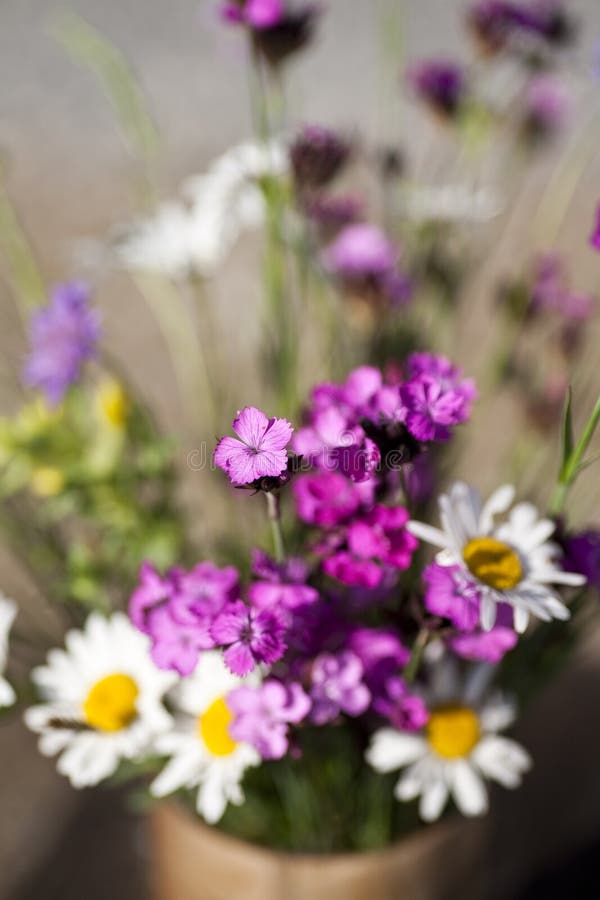 Bouquet of Wild Natural Flowers Stock Photo - Image of petal, bright ...