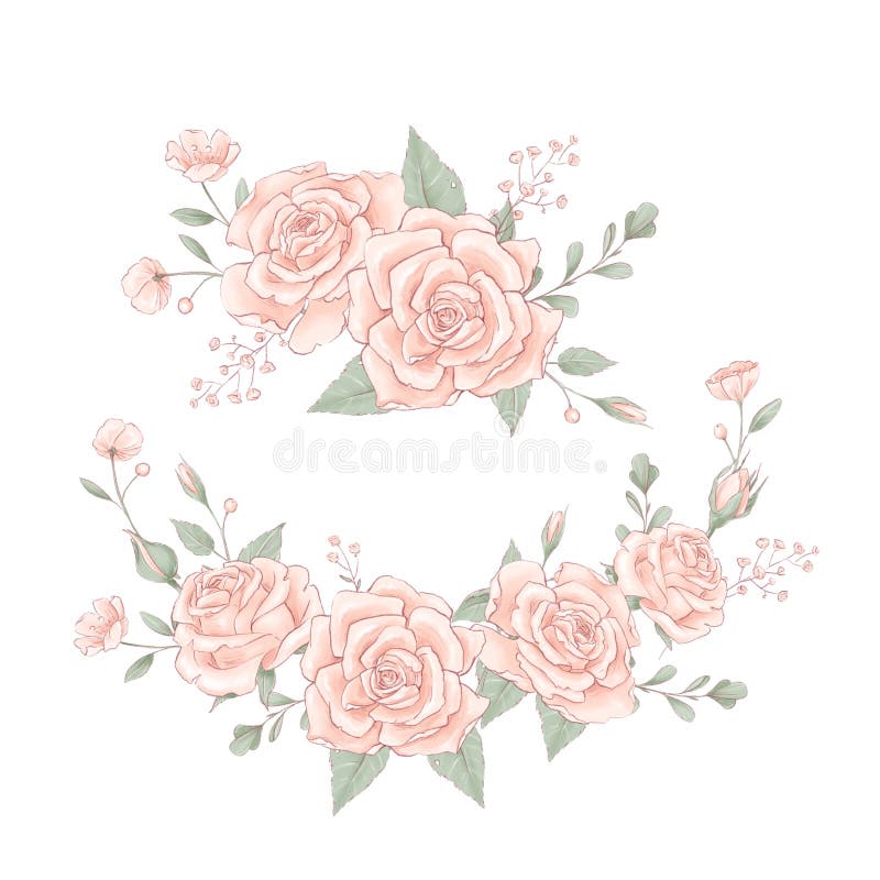 Bouquet a Wreath of Delicate Roses. Hand Drawing Stock Illustration ...