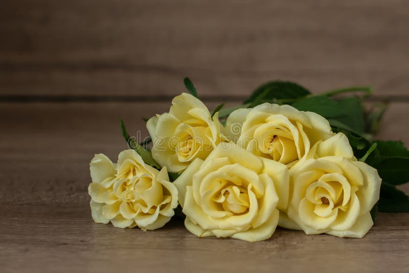 A Bouquet of Yellow Fresh Roses with Place for Text Stock Image - Image ...
