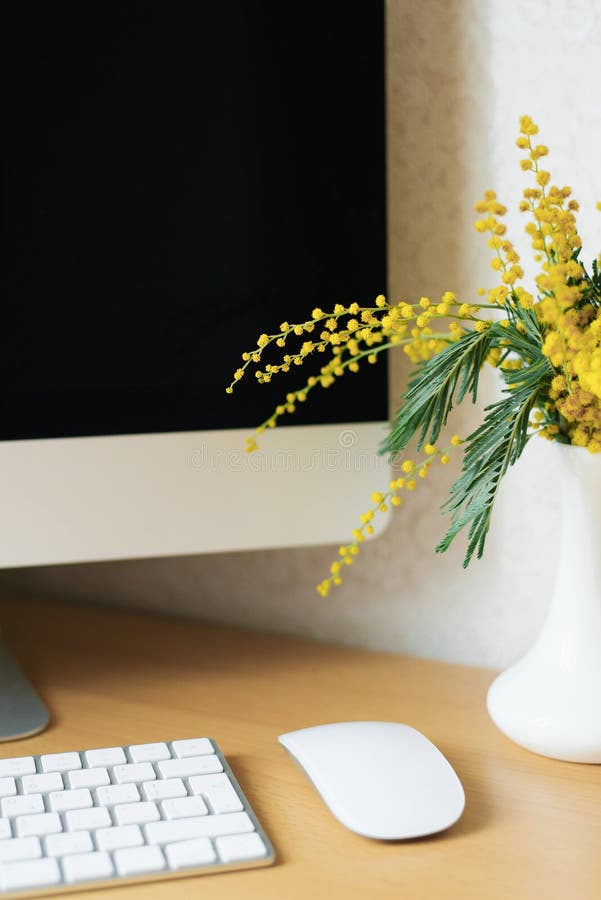 Bouquet of Yellow Mimosa Flowers in a Vase on a Desktop with a Computer ...
