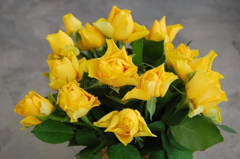 Bouquet of yellow roses stock photo. Image of floral - 53106138