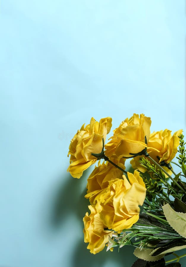Bouquet of Yellow Roses on a Blue Background with Space for Text Stock ...