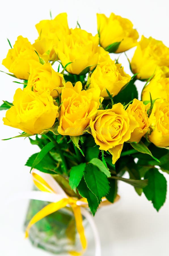 Bouquet of yellow roses stock photo. Image of group, white - 65864312
