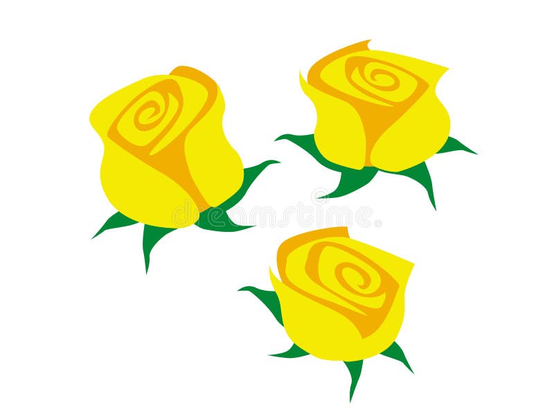 Yellow Roses. Stylized Drawing of Yellow Flowers on a White Background ...