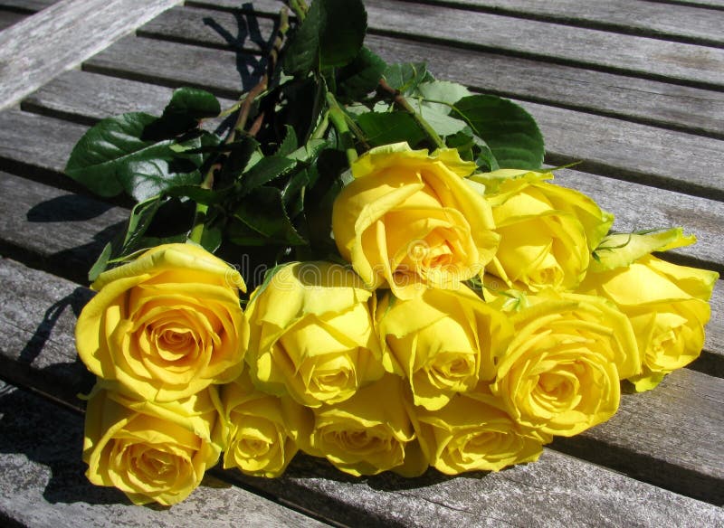 Bouquet of Yellow Roses on Wooden Table Stock Image - Image of green ...