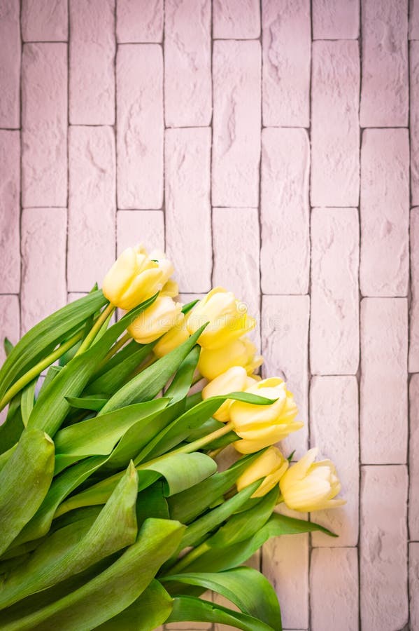 Bouquet of yellow tulips stock image. Image of lots - 243291111