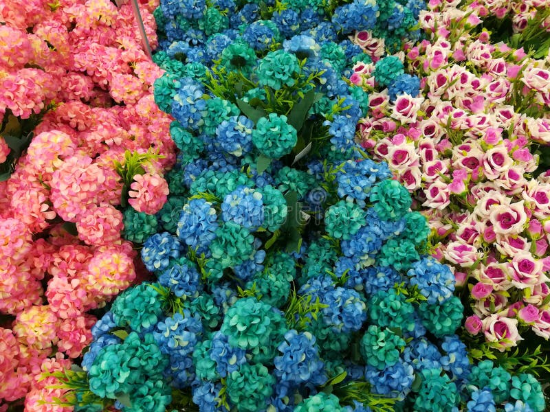 Decorative Flowers - Blue and Pink Stock Photo - Image of birthday ...