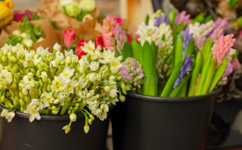 Bouquets of Spring Flowers in Florist Shop Stock Image - Image of flora ...
