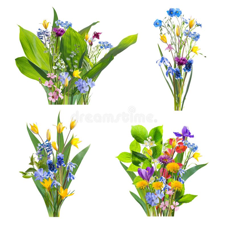 Bouquets from Spring Wild Flowers Isolated Stock Photo - Image of ...