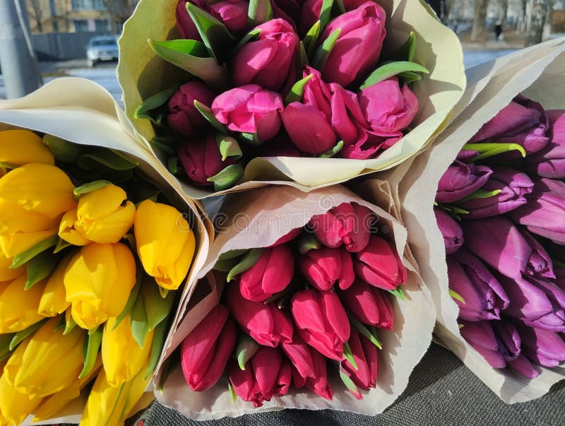 Tulip Background Paper