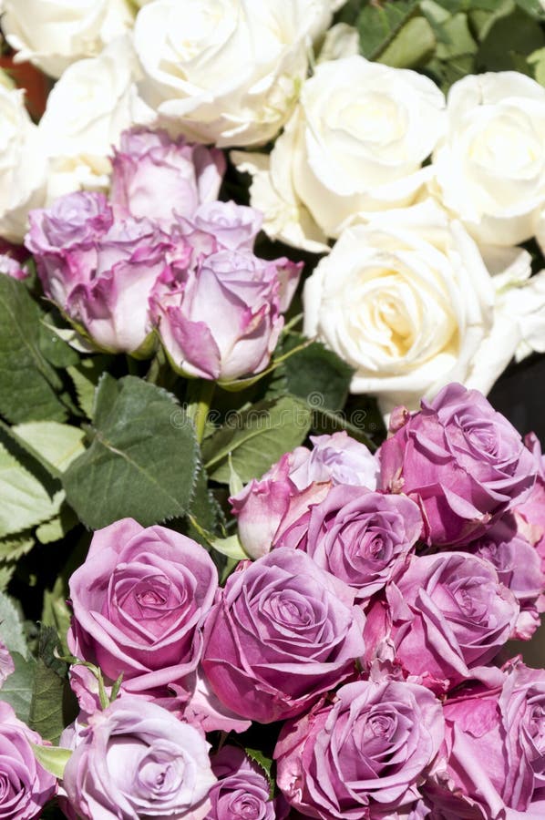 Bouquets of White and Pink Roses Stock Photo - Image of market, love ...