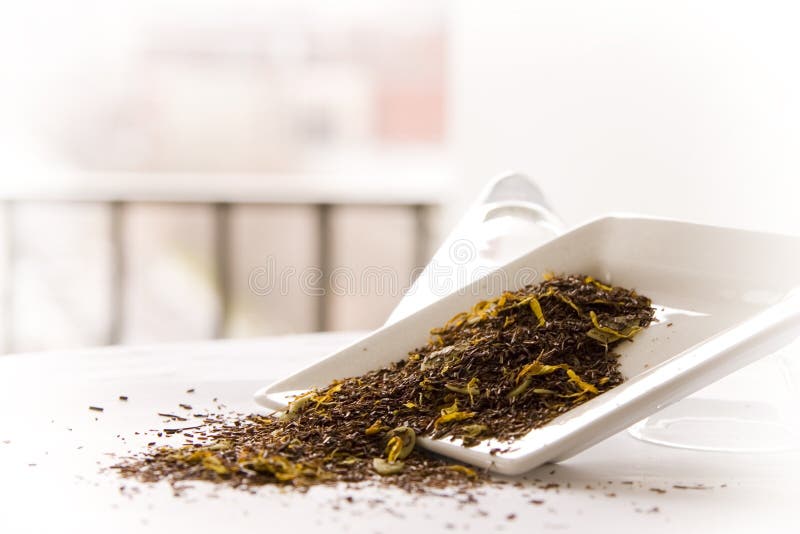 Bourbon Street Tea stock photo. Image of calm, color, calmness - 1628284