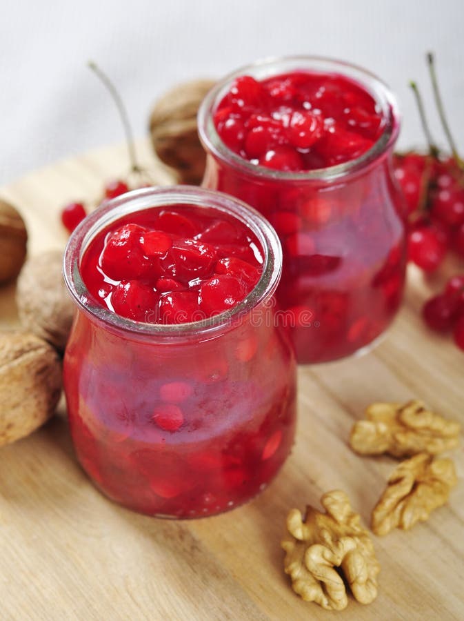 Bourrage de Viburnum image stock. Image du coulée, fruits - 27897313