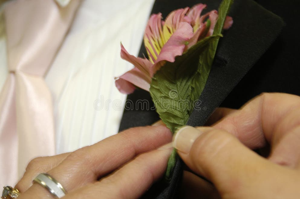 Boutineer 2 stock image. Image of ring, groom, bride, boutineer - 607911