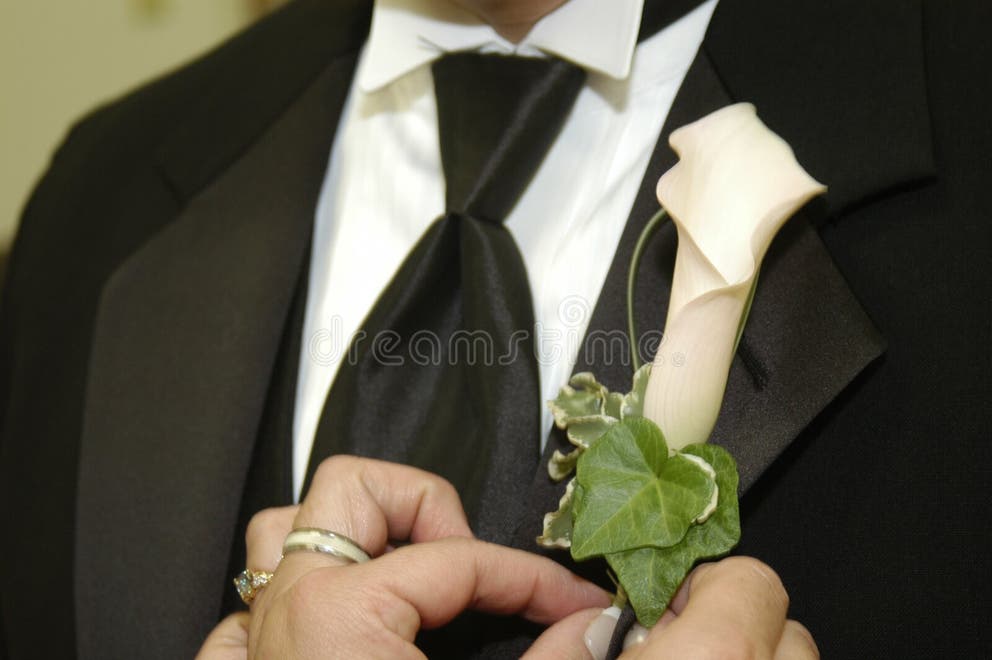 Boutineer 3 stock photo. Image of black, green, groom, wedding - 607910