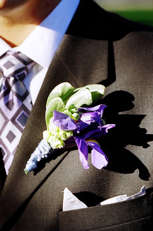 Boutonniere del novio imagen de archivo. Imagen de pista - 2082607