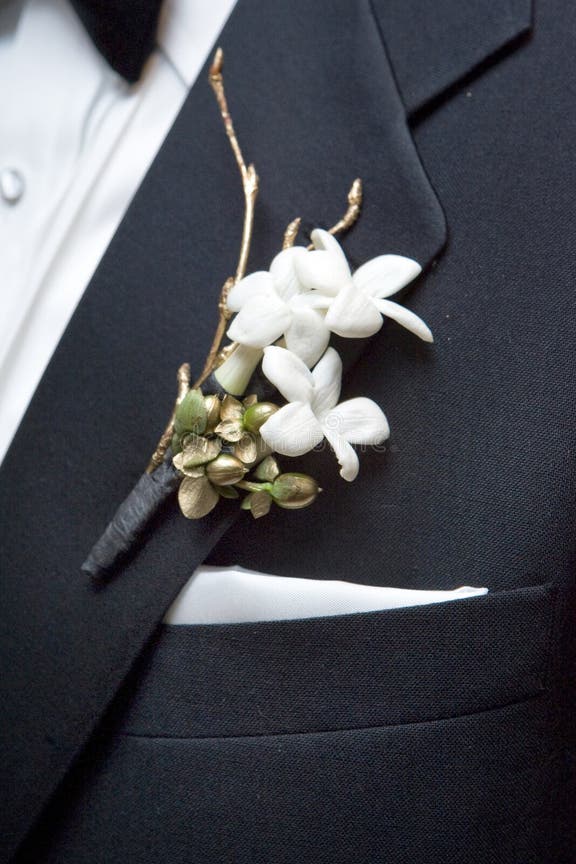 Boutonniere, flower stock photo. Image of bouquet, rose - 14679590