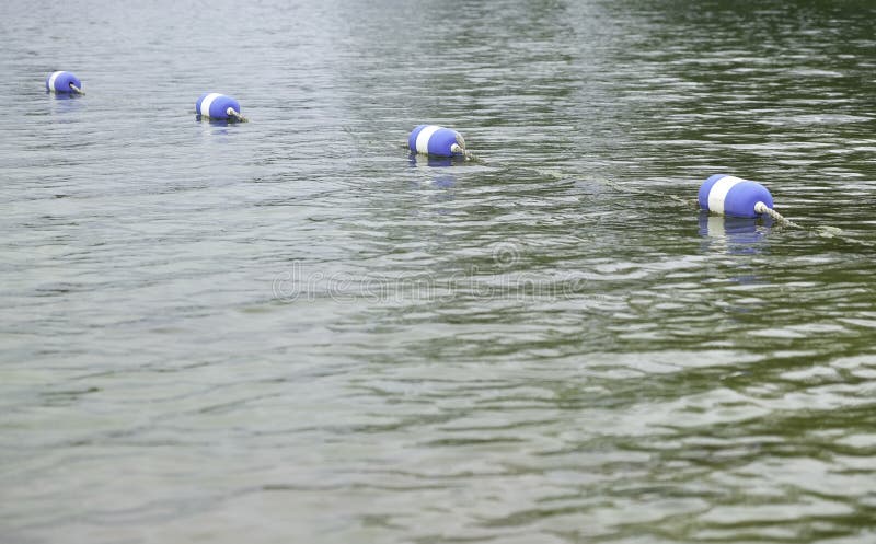 Bouys Attached Together with a Rope on Water Stock Image - Image of ...