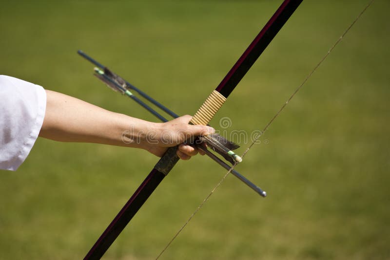 Bow and arrows stock photo. Image of archer, hand, concentration - 9801206