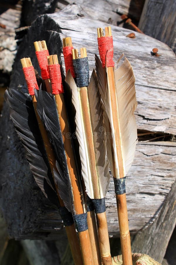 Bow and arrows stock photo. Image of arrows, shoot, target - 71749086