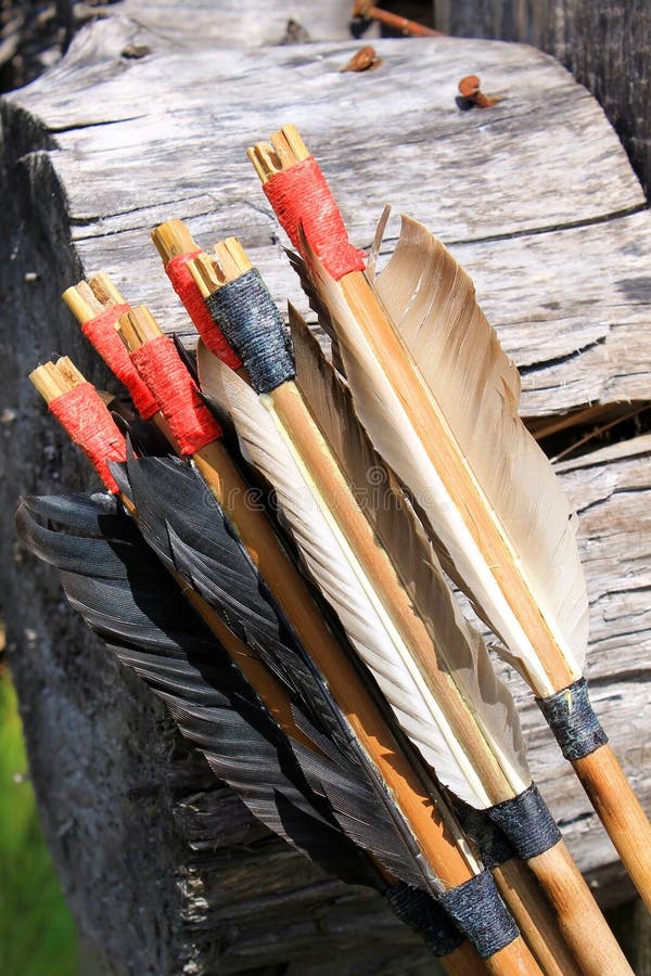 Bow and arrows stock image. Image of model, soldier, hunt - 71749353