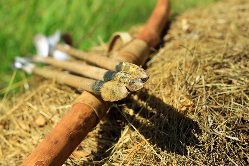Bow and Arrows in the Hay Stack Stock Photo - Image of model, archery ...