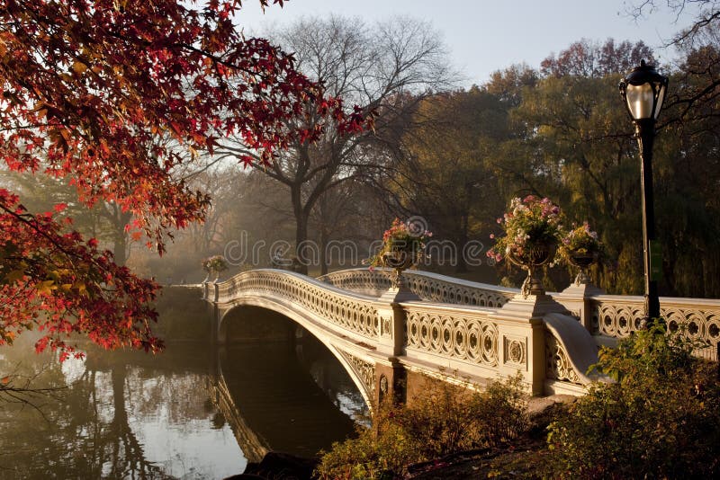 Bow bridge stock image. Image of york, park, leaves, bridge - 12208099