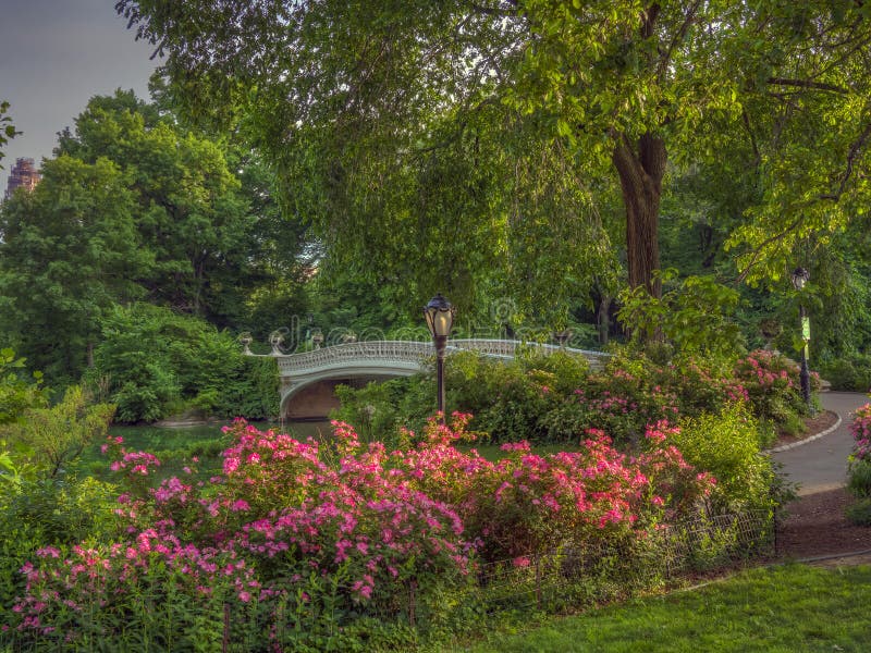Bow bridge in spring stock photo. Image of flowers, york - 150538140