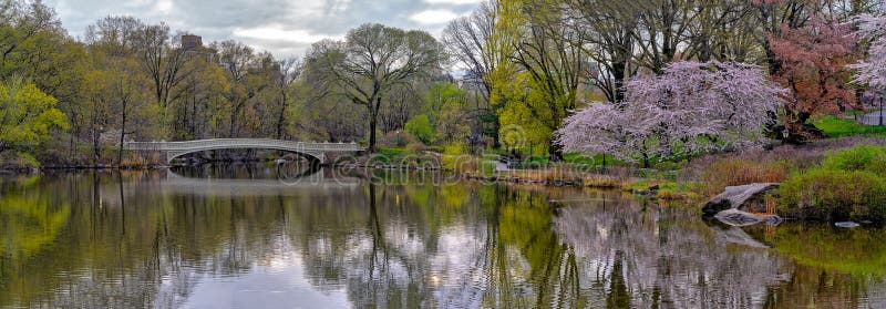 Bow bridge in spring stock image. Image of flowers, season - 266388379