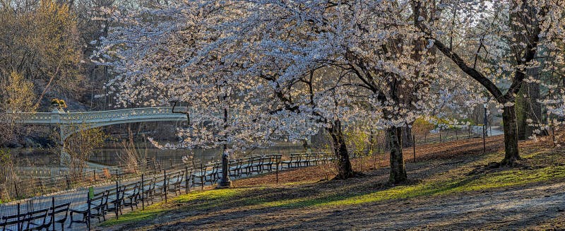 Bow bridge stock image. Image of lake, tourism, sweet - 275133627