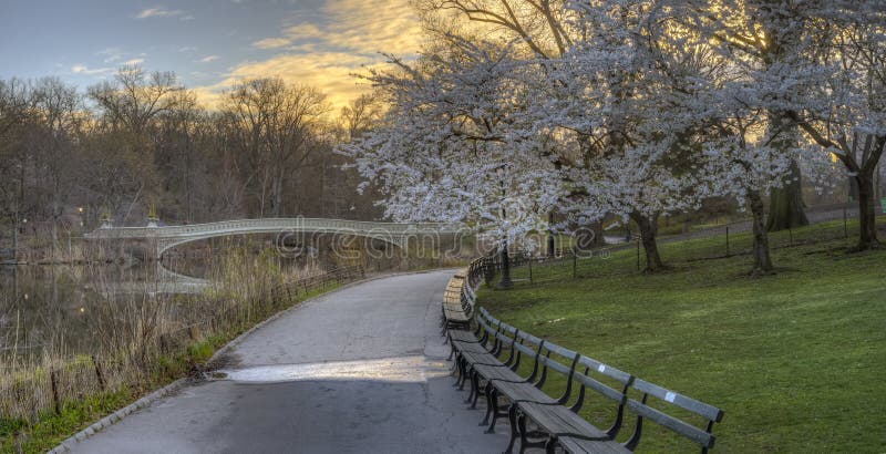 Bow bridge in early spring stock photo. Image of early - 179668248