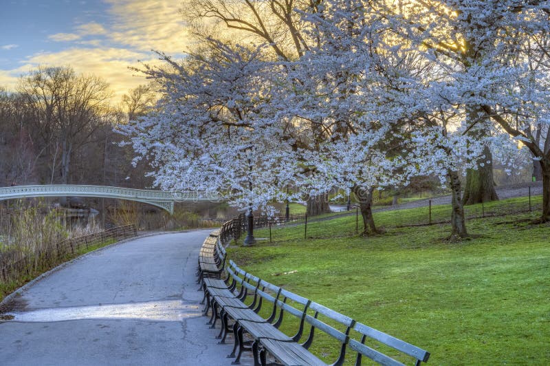 Bow bridge in early spring stock image. Image of central - 179668269
