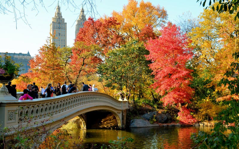 Bridge Over Lake in Fall Scenery Stock Image - Image of central, white ...
