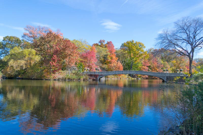 Bow Bridge during the Fall in Central Park Stock Image - Image of ...