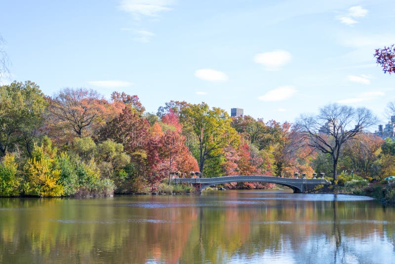 Bow Bridge during the Fall in Central Park Stock Image - Image of ...