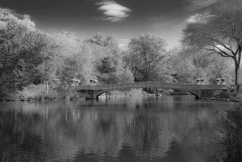Bow Bridge during the Fall in Central Park Stock Image - Image of fall ...