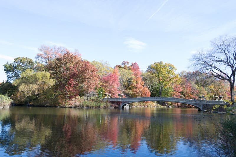 Bow Bridge during the Fall in Central Park Stock Image - Image of ...